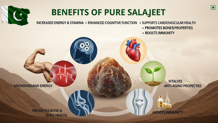 Top 10 Health Benefits of Pure Salajeet in Pakistan – Energy & Immunity ...